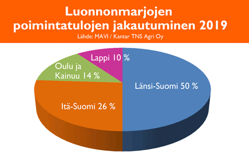 Arktiset Aromit ry – Tietoa marjoista